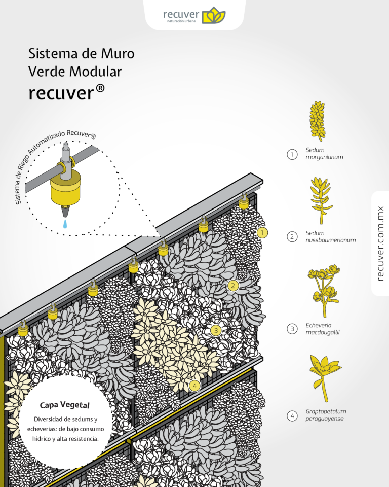 Nuestro sistema de Muros Verdes Modulares utiliza,